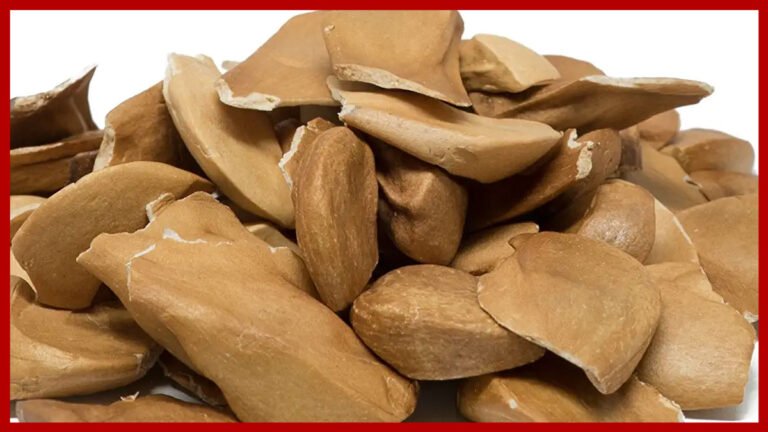 Palo Zopilote para qué sirve como planta medicinal