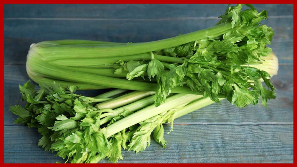 Apio: Para Qué Sirve, Beneficios del Jugo en Ayunas y Cómo Usarlo para ...