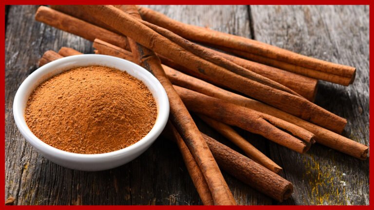 Canela para que sirve como planta medicinal