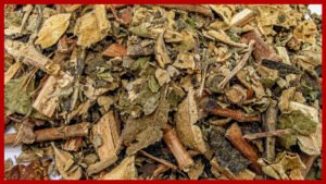 Axocopaque: Para Qué Sirve, sus Beneficios para el Dolor y ...