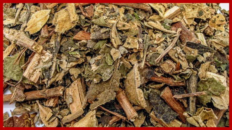 Axocopaque: Para Qué Sirve, sus Beneficios para el Dolor y ...