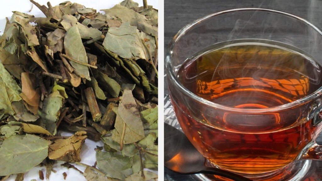 Axocopaque: Para Qué Sirve, sus Beneficios para el Dolor y ...